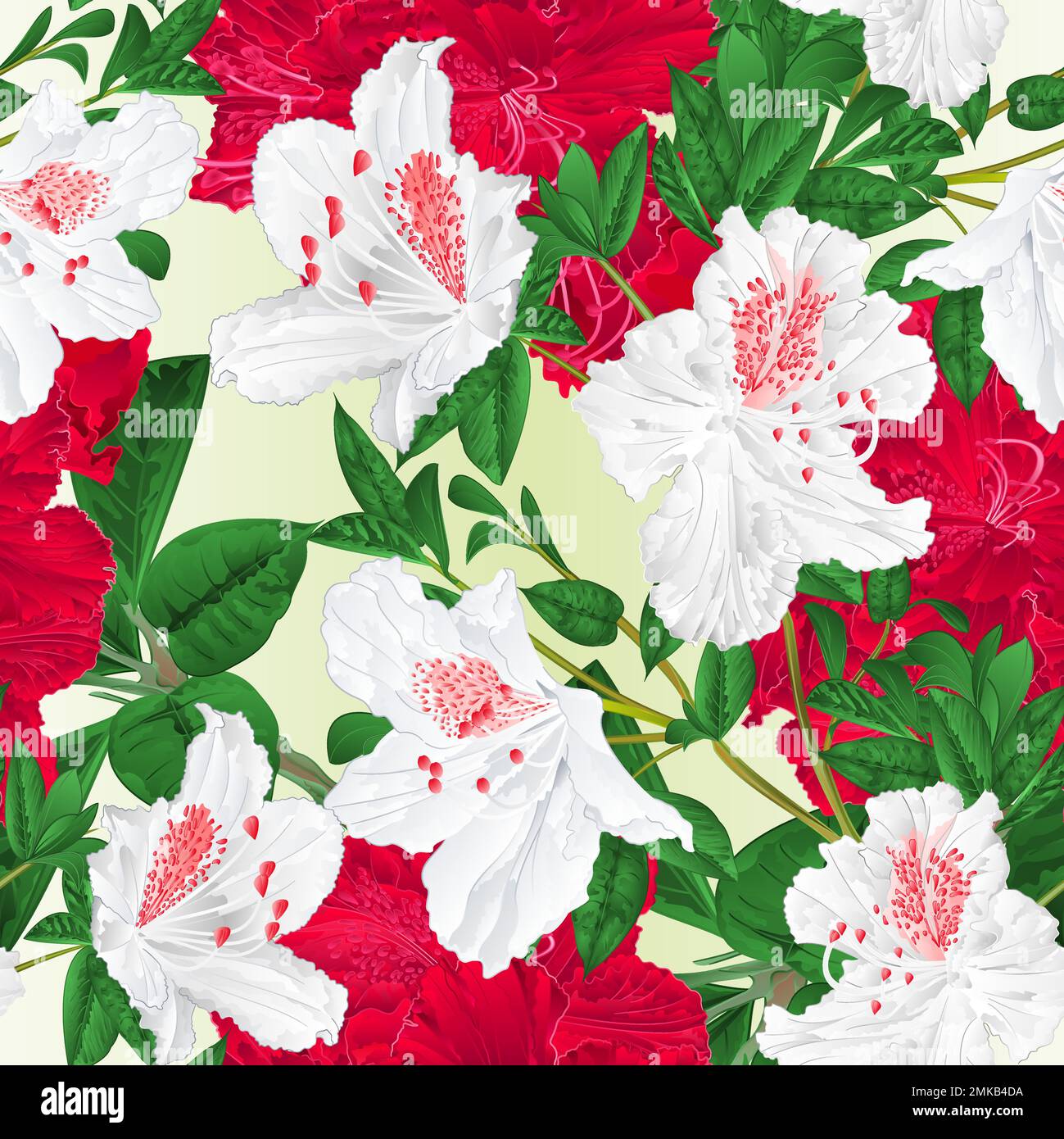 Seamless texture flowers red and white rhododendrons twigs natural ...