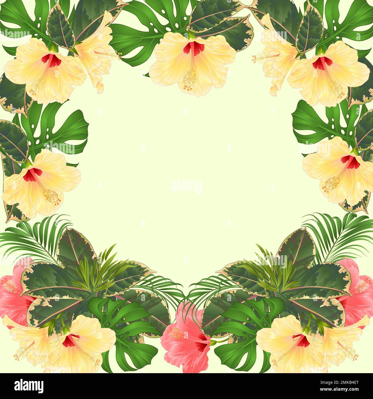 Frame tropical flowers floral arrangement, with pink and yellow ...