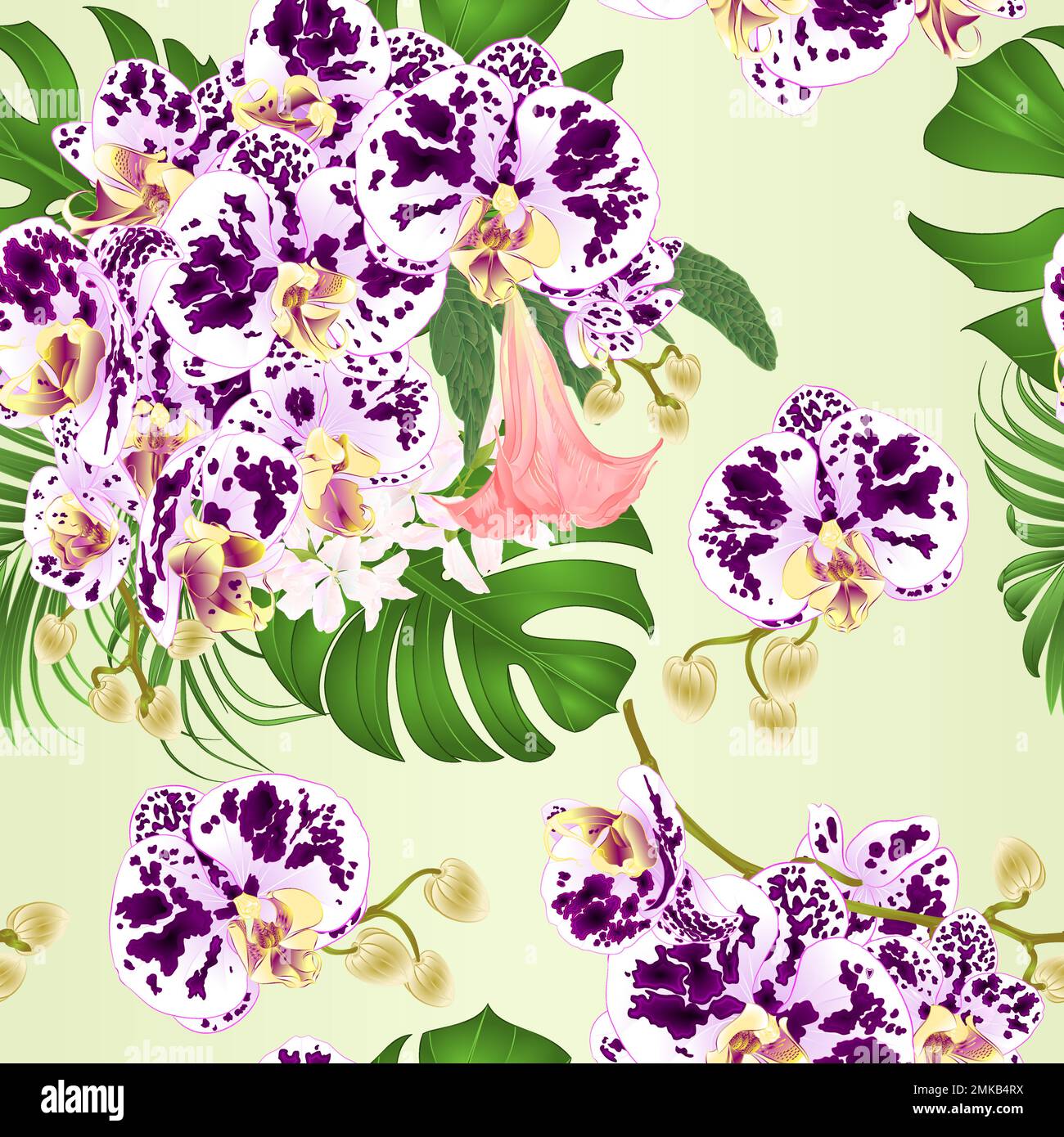 Seamless Texture Bouquet With Tropical Flowers Floral Arrangement With