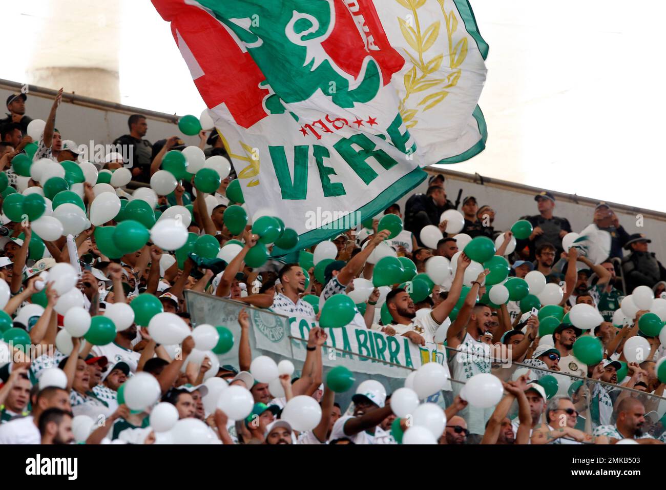 Arena brb mane garrincha hi-res stock photography and images - Alamy