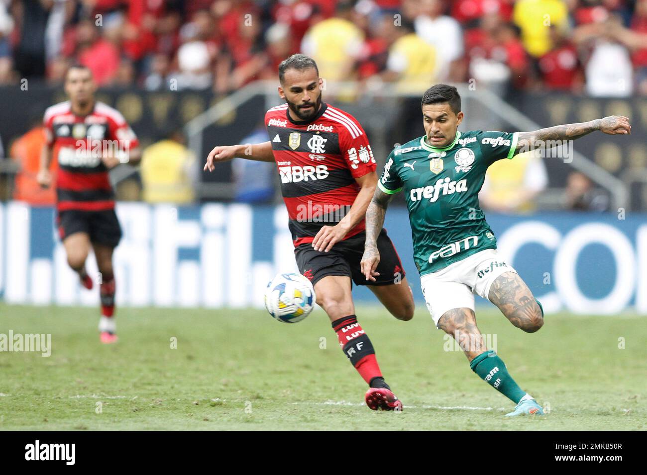 Arena brb mane garrincha hi-res stock photography and images - Alamy