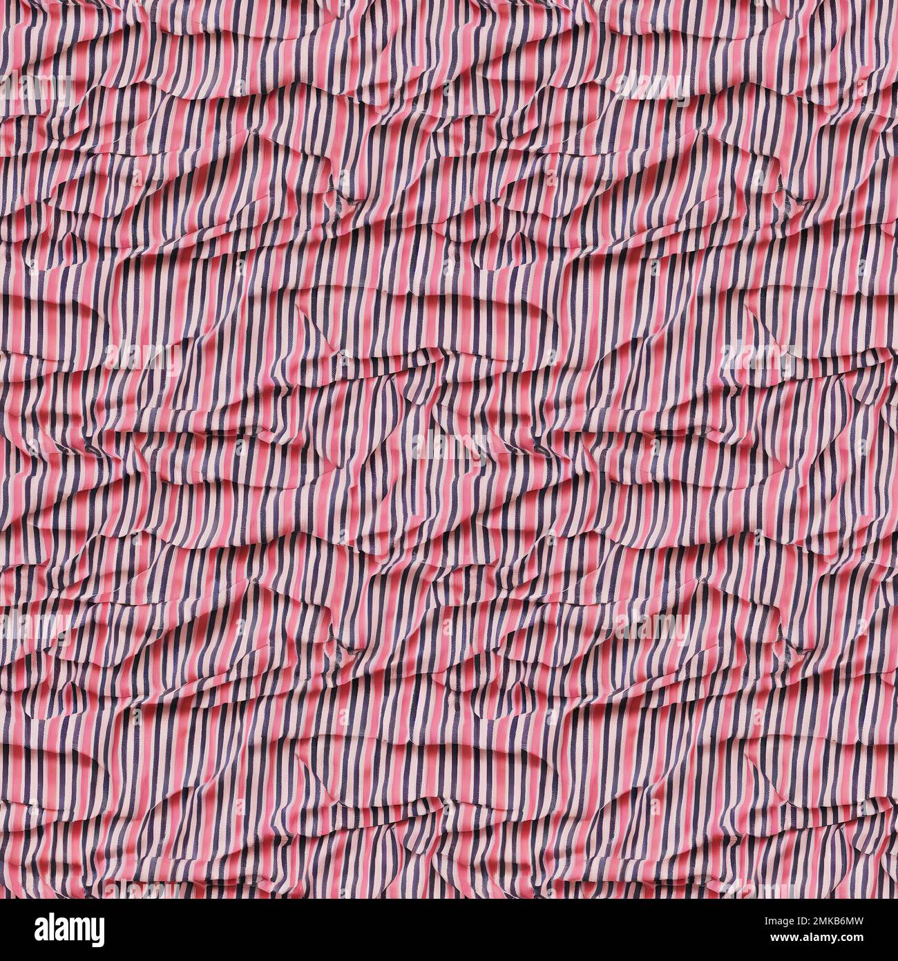 Cotton tabby hi-res stock photography and images - Alamy