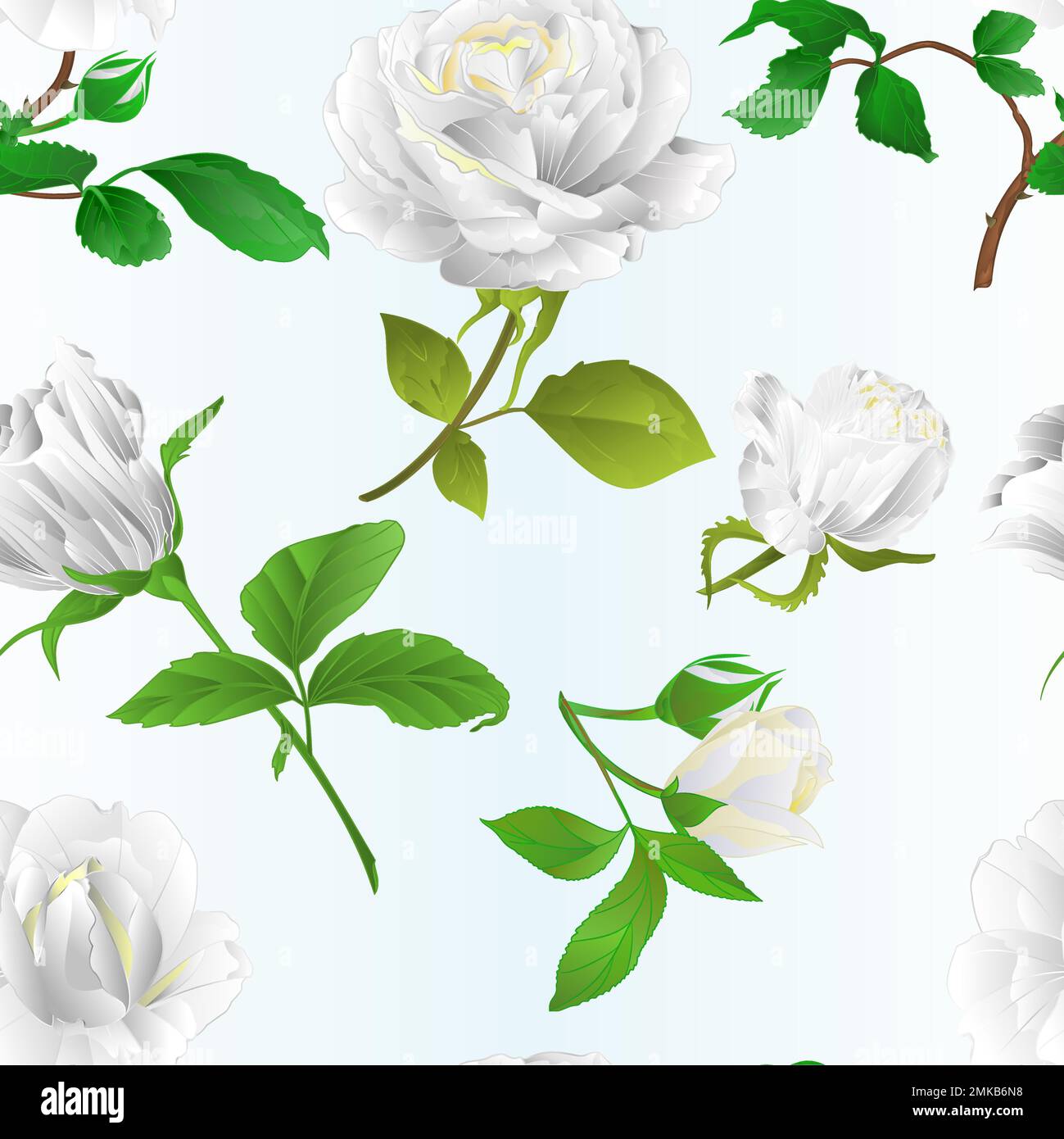 Seamless texture white roses with buds and leaves vintage on a blue ...