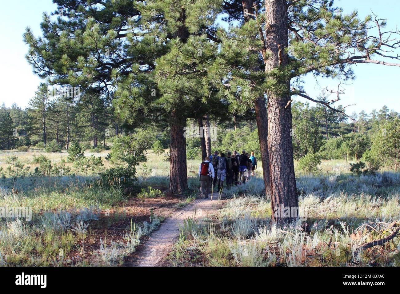 Soldiers assigned to 52nd Brigade Engineer Battalion, 2nd Stryker ...
