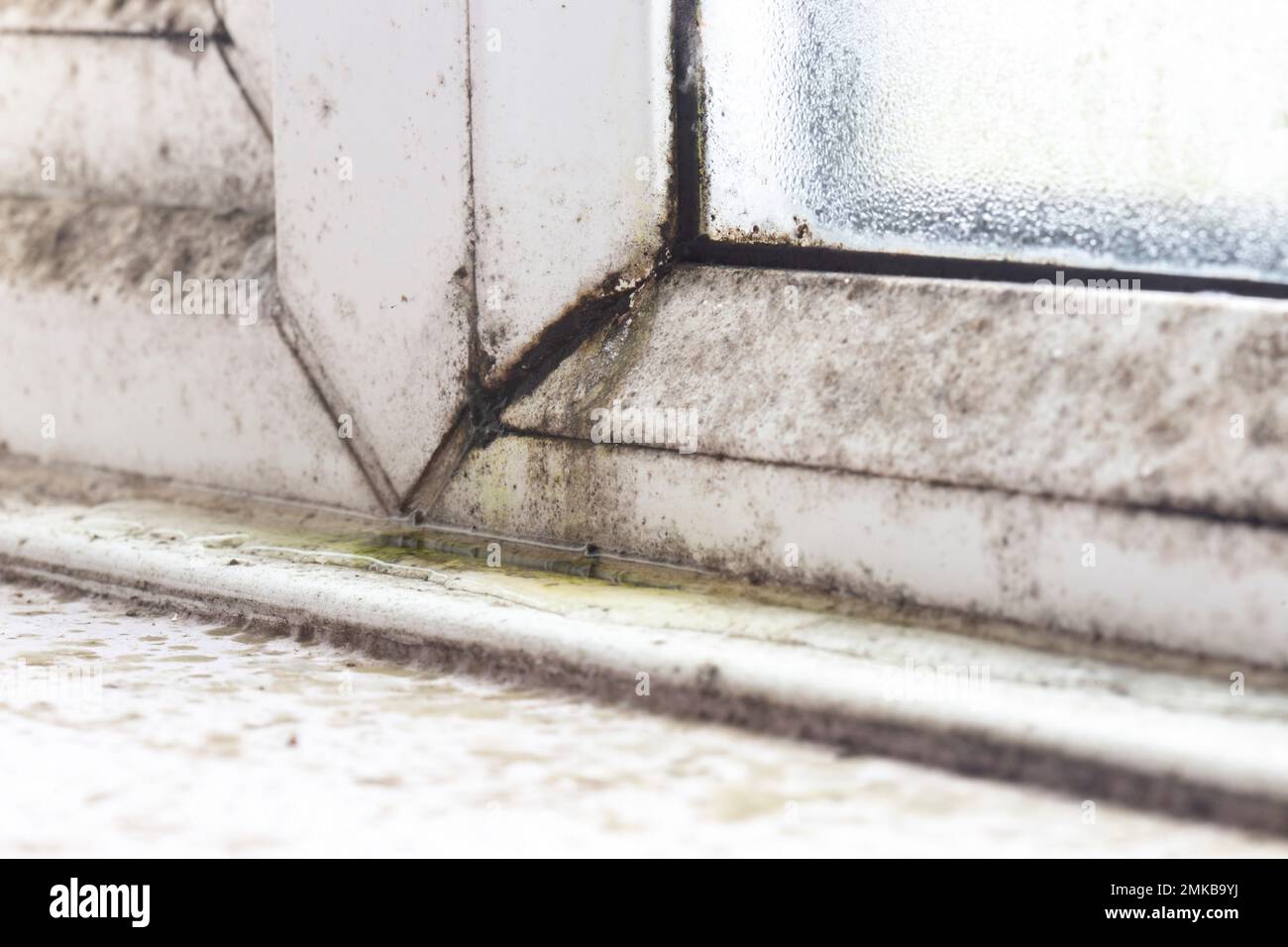 Mould, mildew and condensation on white plastic pvc window frame and ...