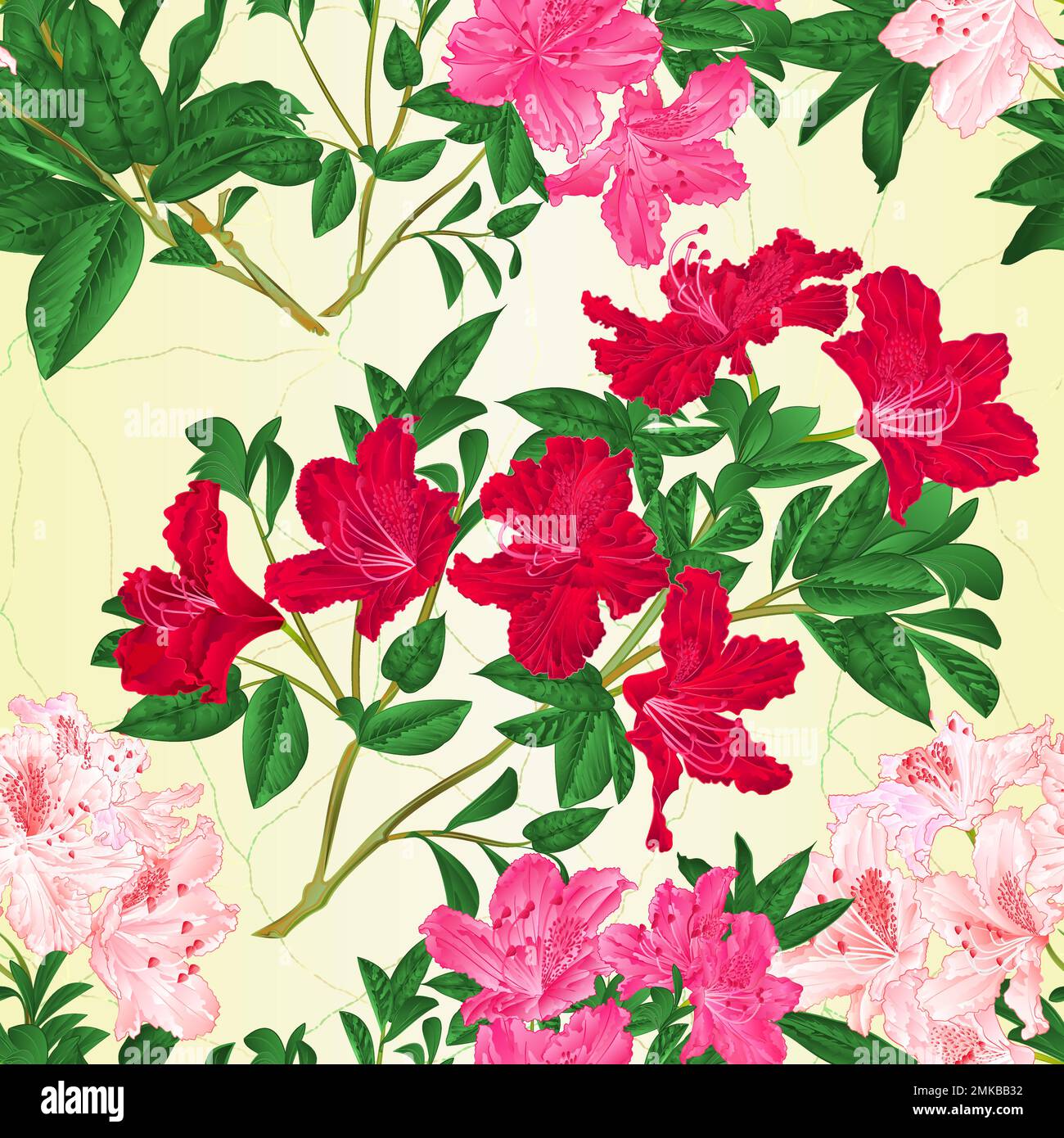 Azalea leaf Stock Vector Images - Alamy