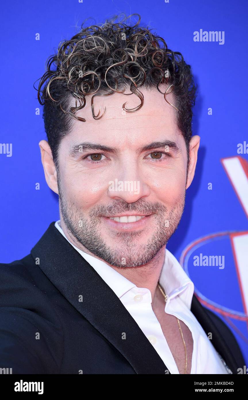 David Bisbal attends the LA premiere of "Wonder Park" at the Regency ...