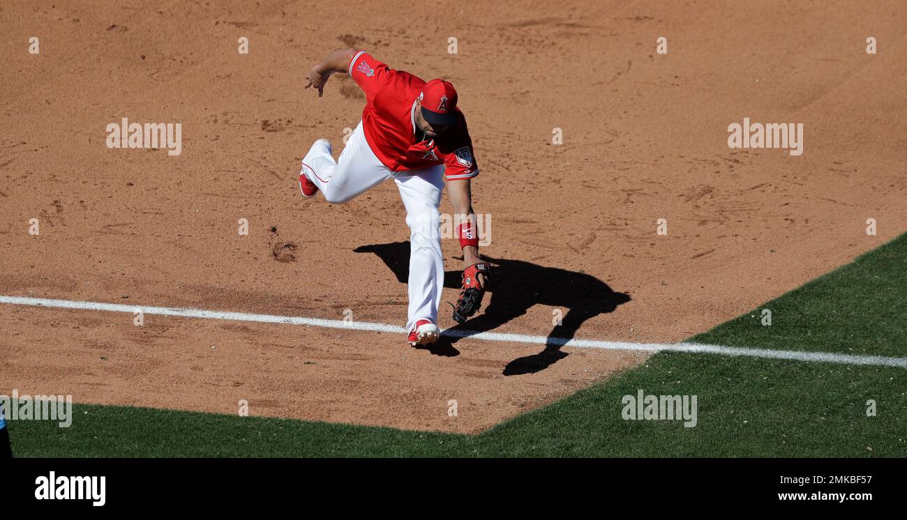 Los Angeles Angels first baseman Albert Pujols lunges for a fair ball ...