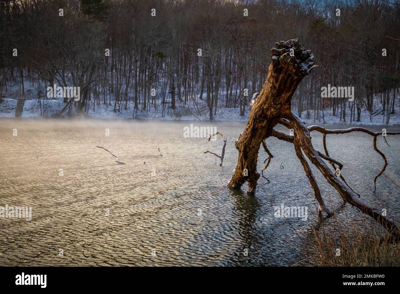 Serene winter wonderland background from hi-res stock photography and ...