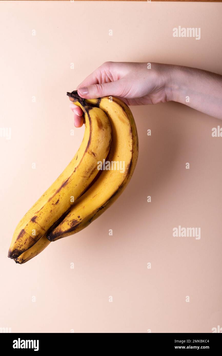 Three ripe yellow bananas in woman hand on beige background. Female ...
