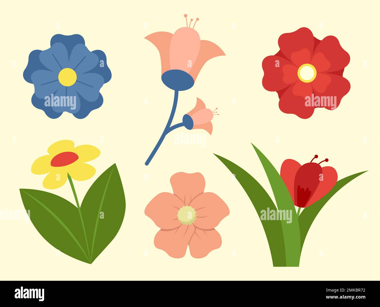 Collection Of Spring Flowers, Design Elements With Blooms Vector ...