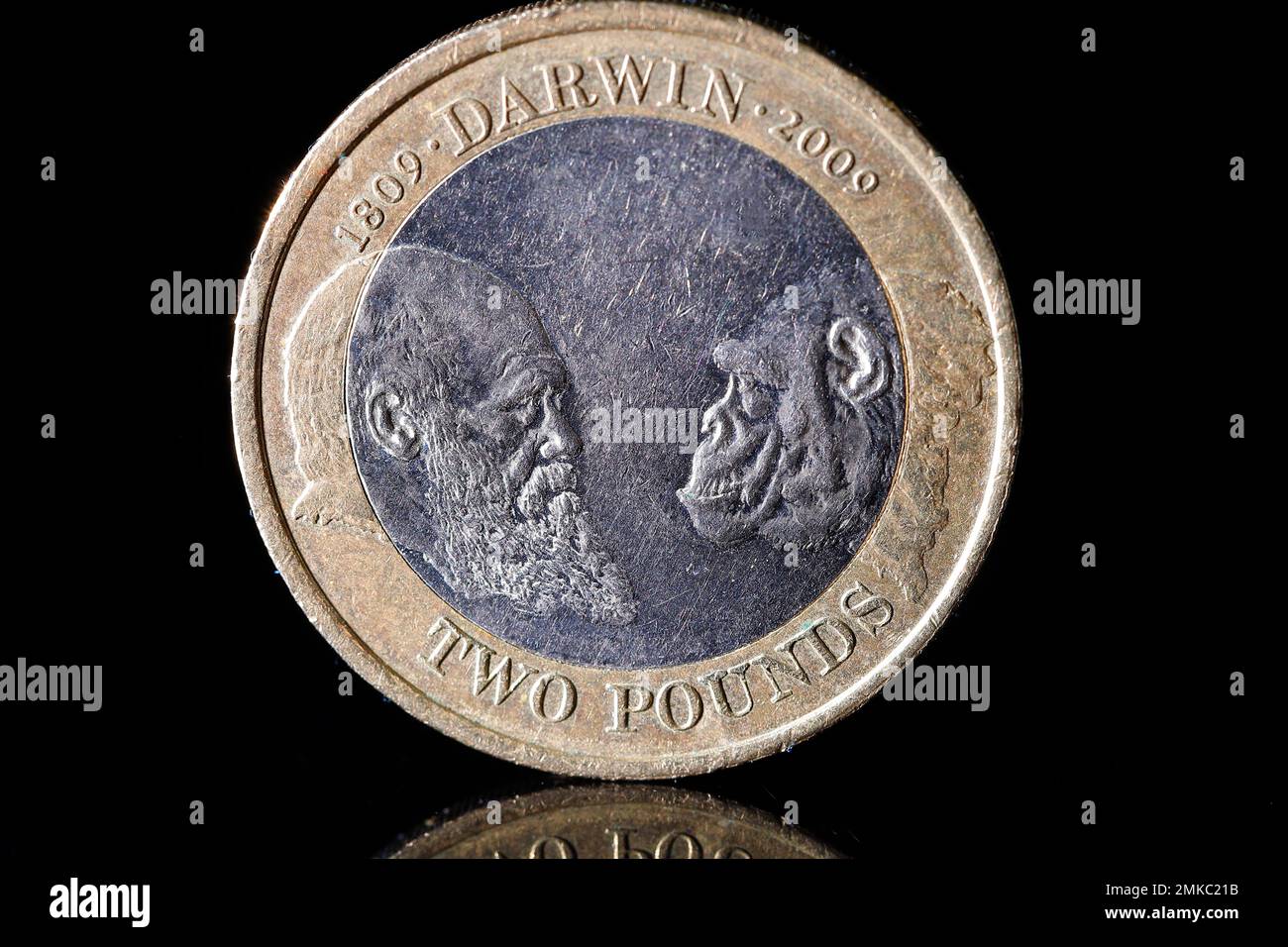 A UK £2 coin featuring Charles Darwin. Issued by the Royal Mint in 2009 ...