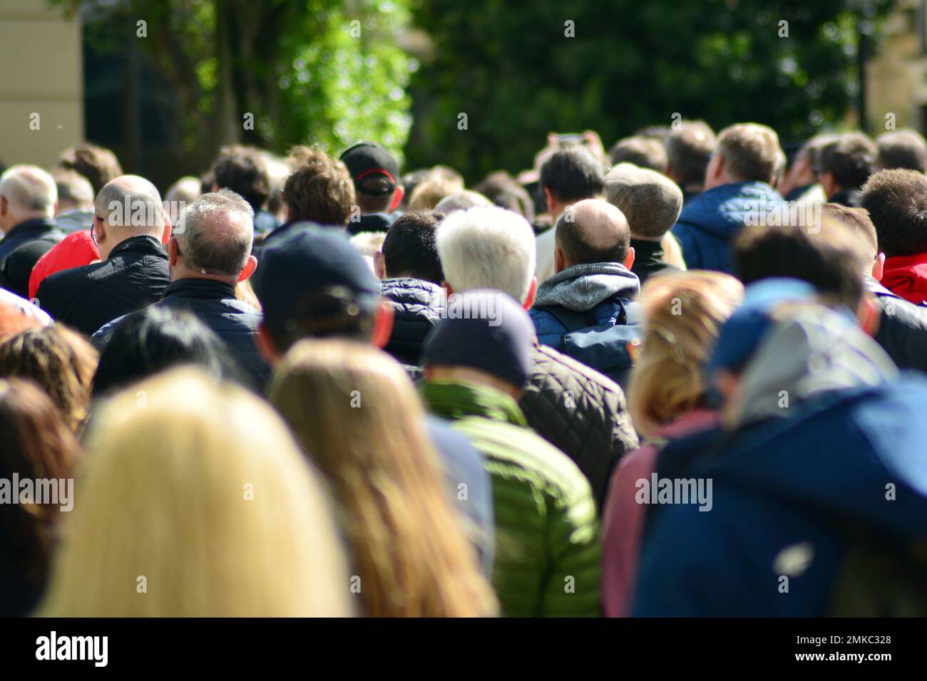 Politician Speaking To Crowd