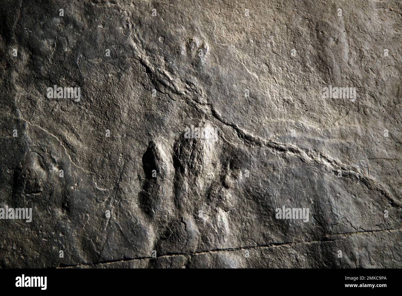 This Feb. 28, 2019 photo shows a trace fossil on a paving stone at the ...