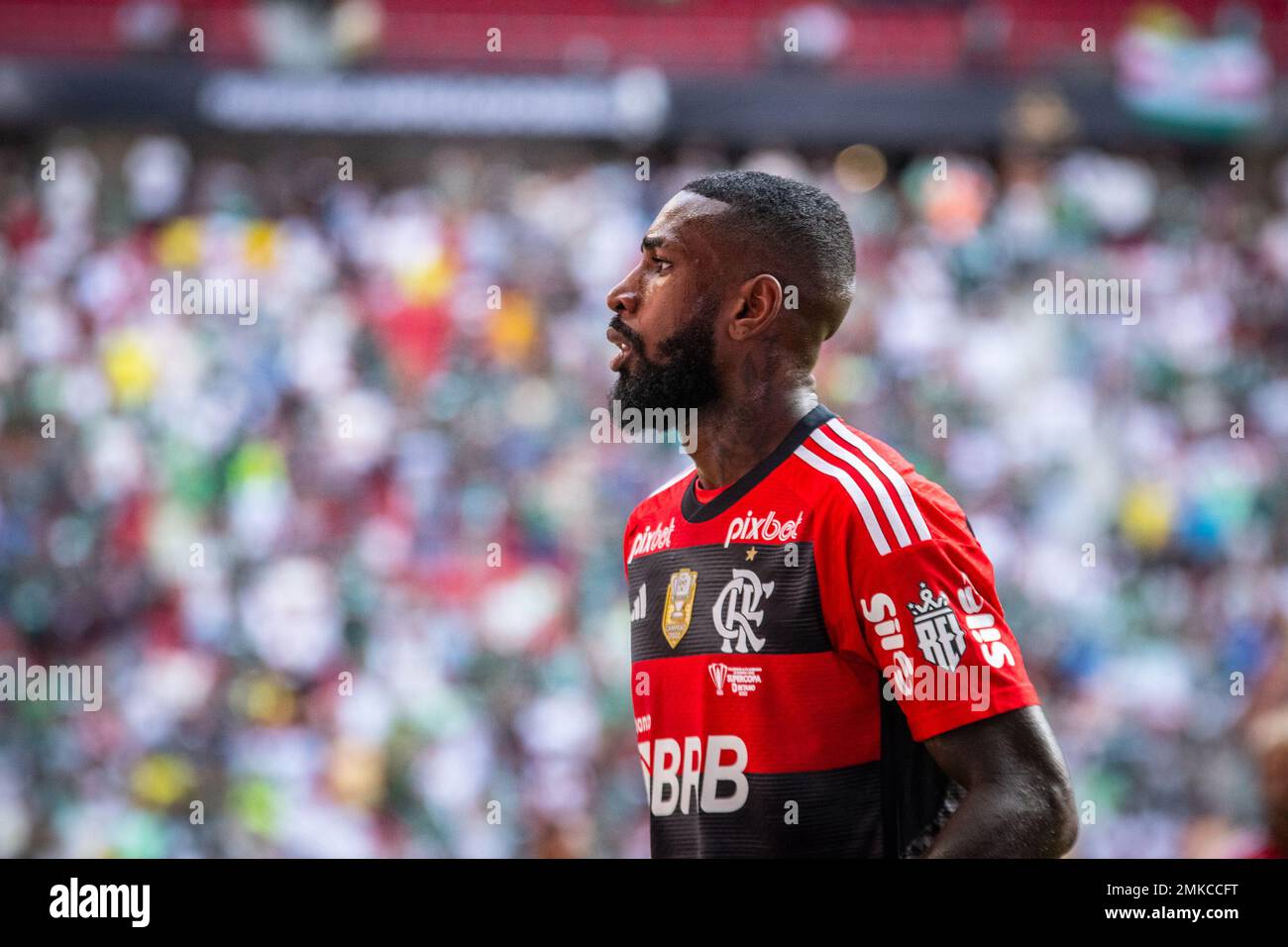 Garrincha hi-res stock photography and images - Alamy