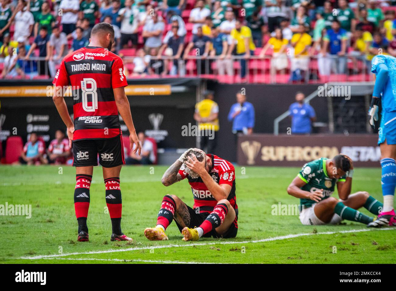 Arena brb mane garrincha hi-res stock photography and images - Alamy