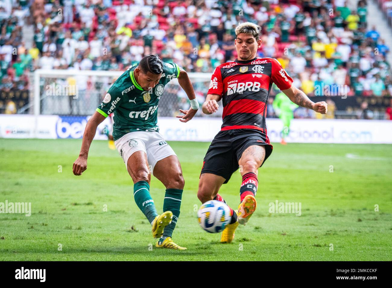 Arena brb mane garrincha hi-res stock photography and images - Alamy