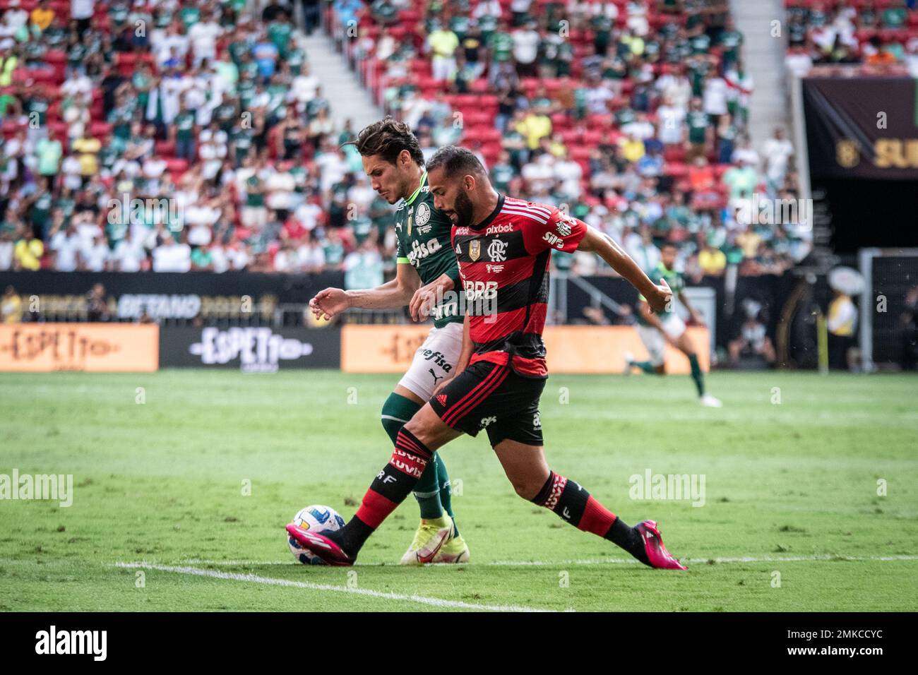 Arena brb mane garrincha hi-res stock photography and images - Alamy