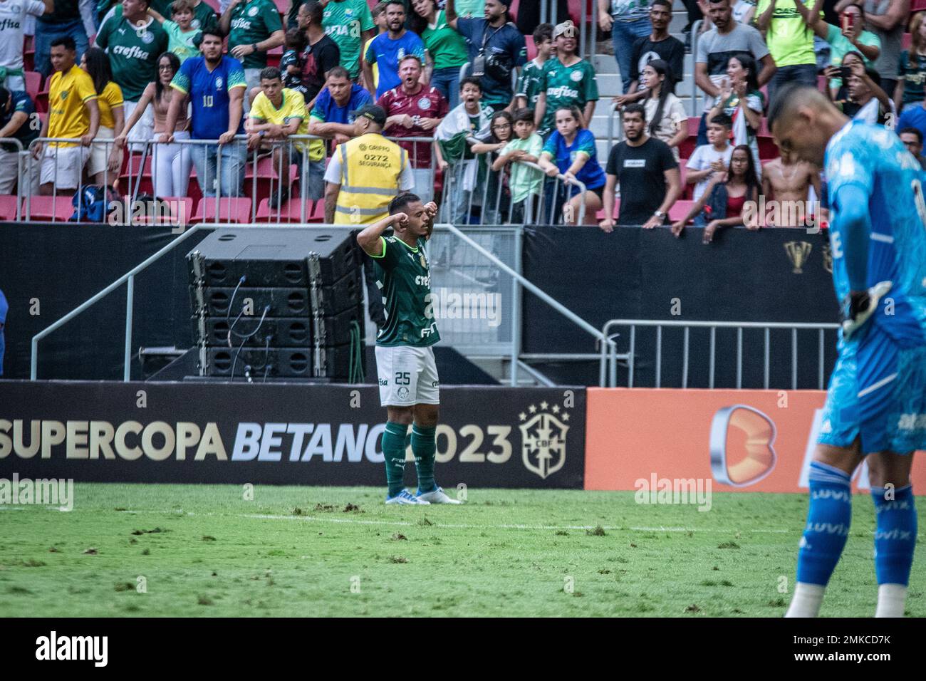 Arena brb mane garrincha hi-res stock photography and images - Alamy