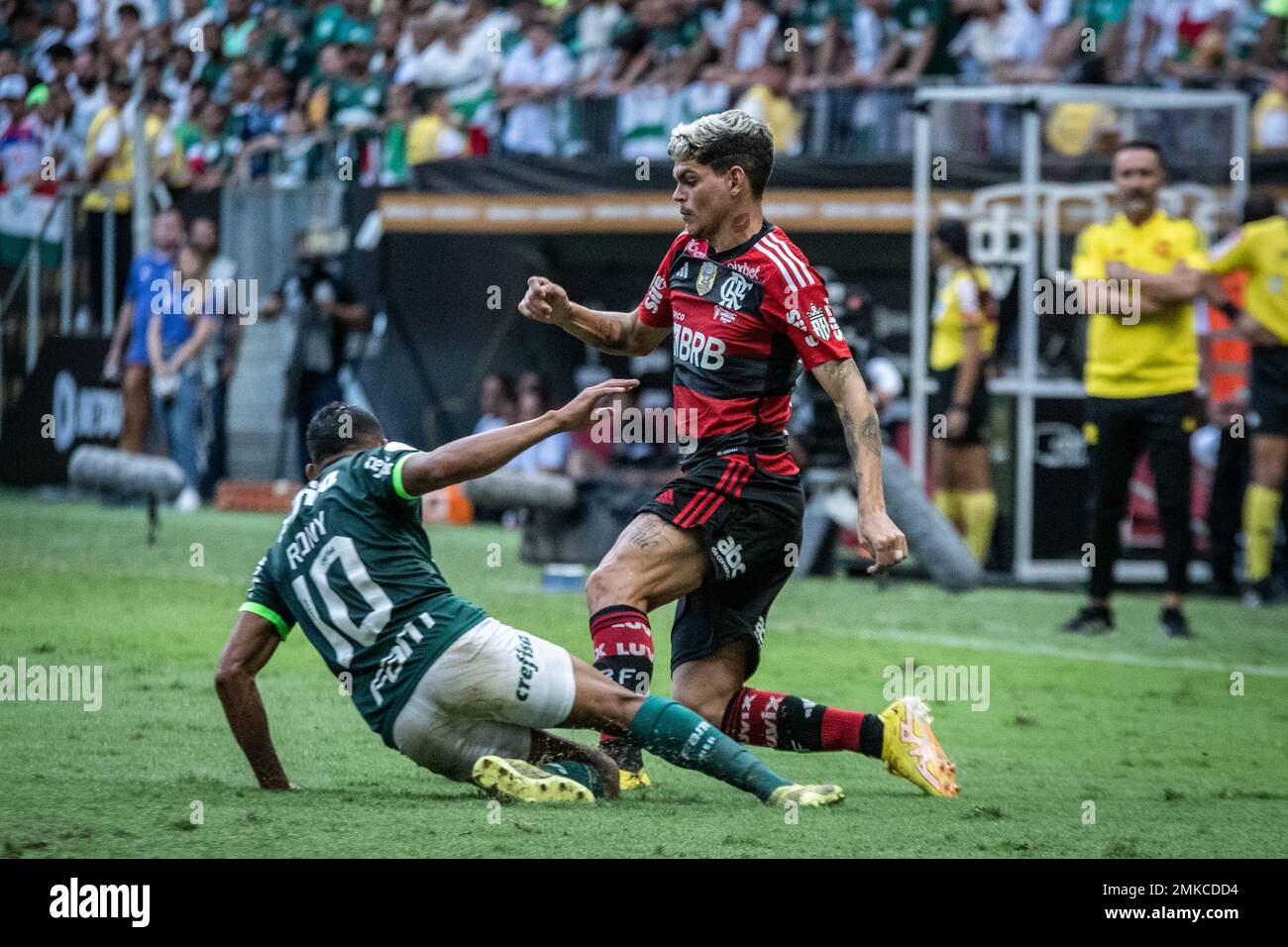 Arena brb mane garrincha hi-res stock photography and images - Alamy
