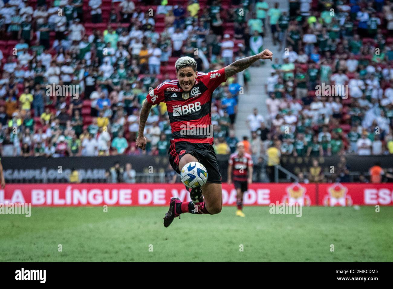 Arena brb mane garrincha hi-res stock photography and images - Alamy