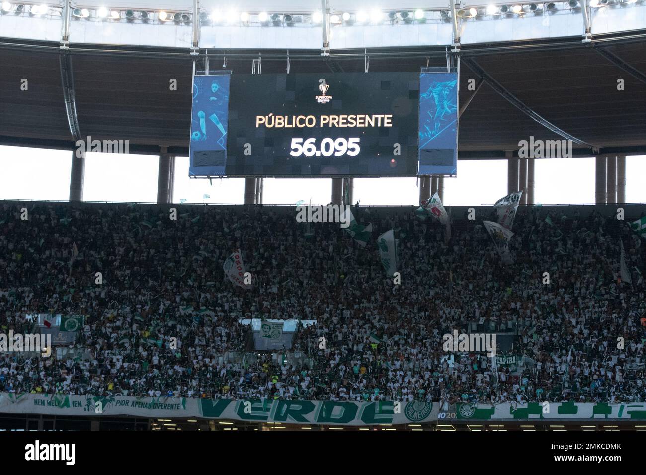 Arena brb mane garrincha hi-res stock photography and images - Alamy