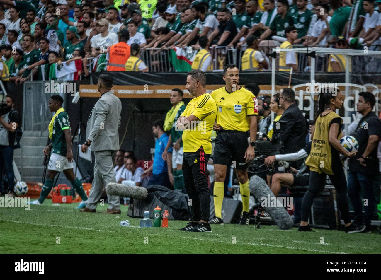 Arena brb mane garrincha hi-res stock photography and images - Alamy