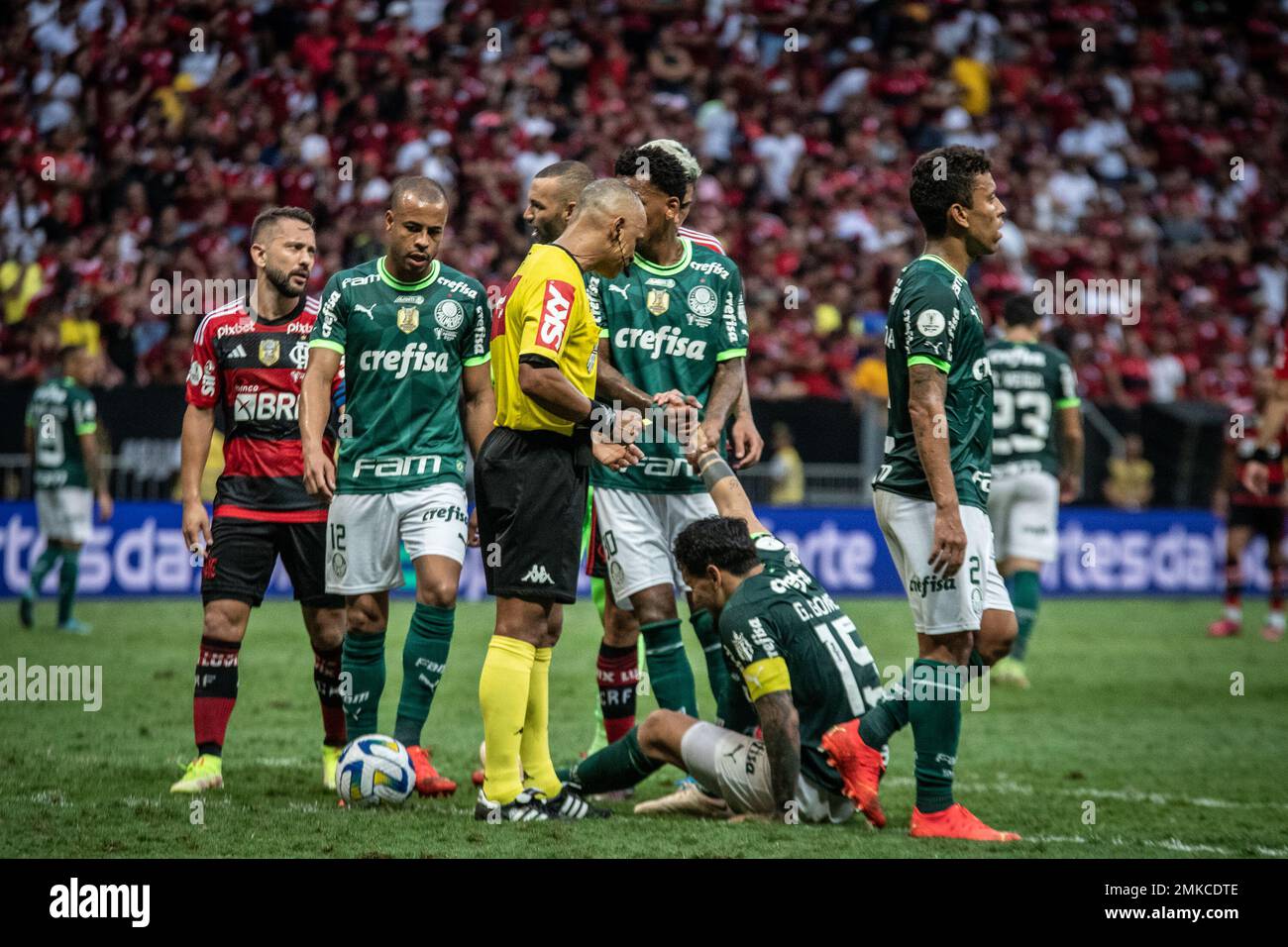 Arena brb mane garrincha hi-res stock photography and images - Alamy