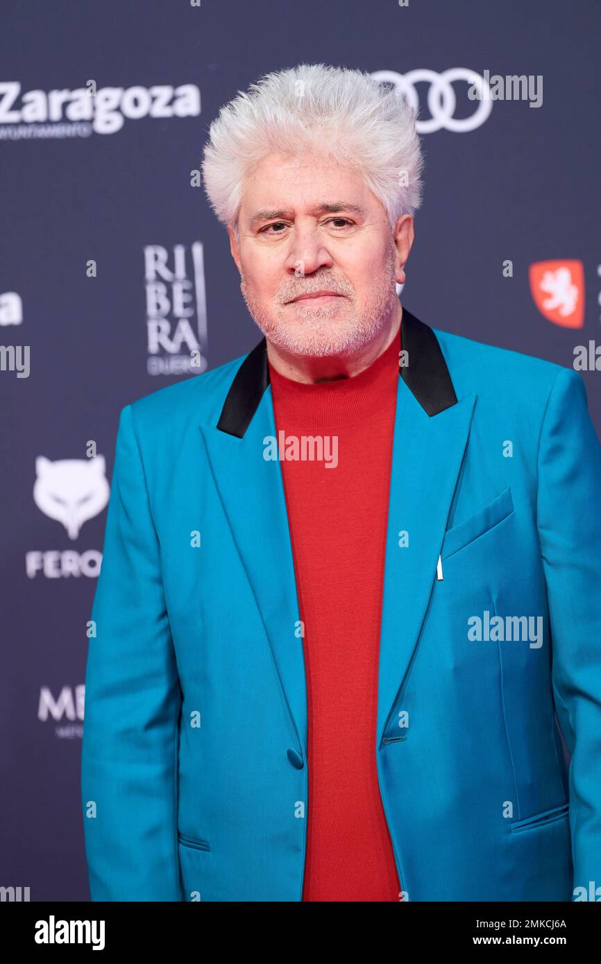 January 28, 2023, Zaragoza, Aragon, Spain: Pedro Almodovar attends ...