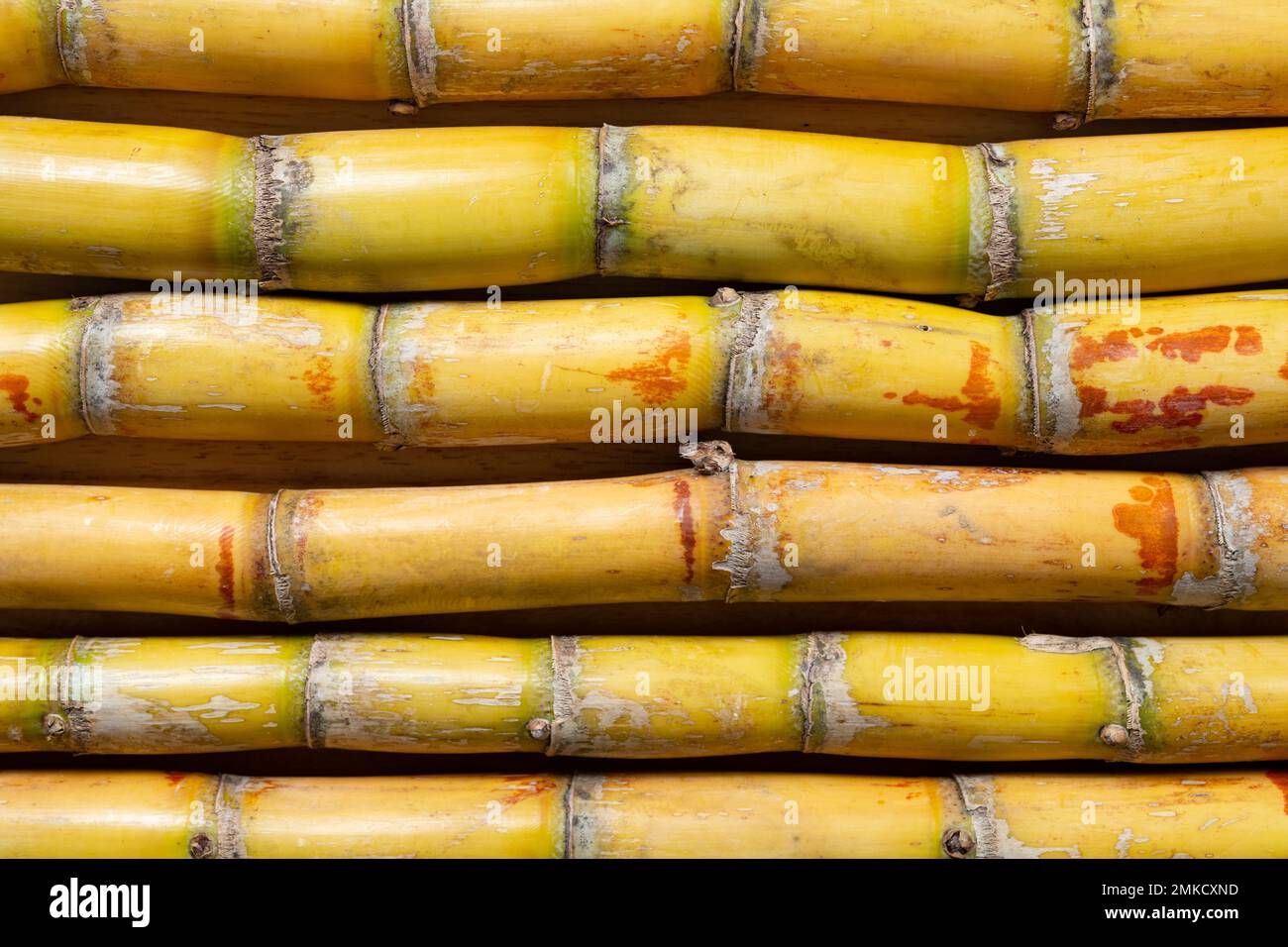 top view several pieces of sugarcane horizontal composition Stock Photo ...