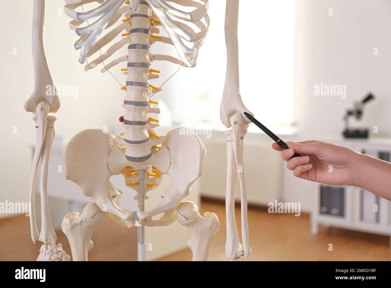 Skeleton hand pointing hi-res stock photography and images - Alamy