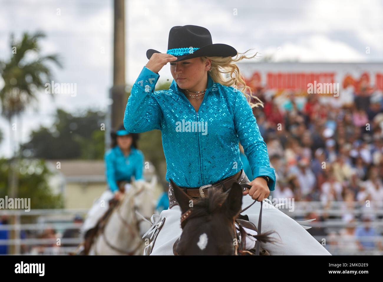 Bull tie hi-res stock photography and images - Alamy