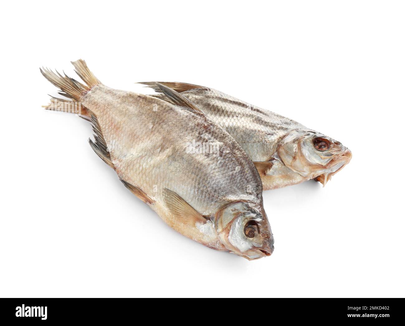 Aquaculture and fish health Cut Out Stock Images & Pictures - Alamy
