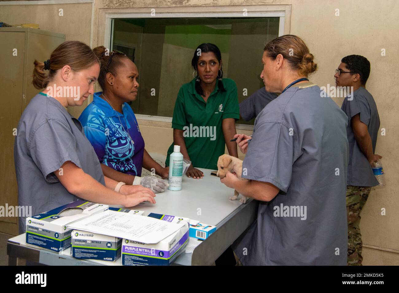 HONIARA, Solomon Islands (Sept. 8, 2022) – U.S. Army veterinary ...