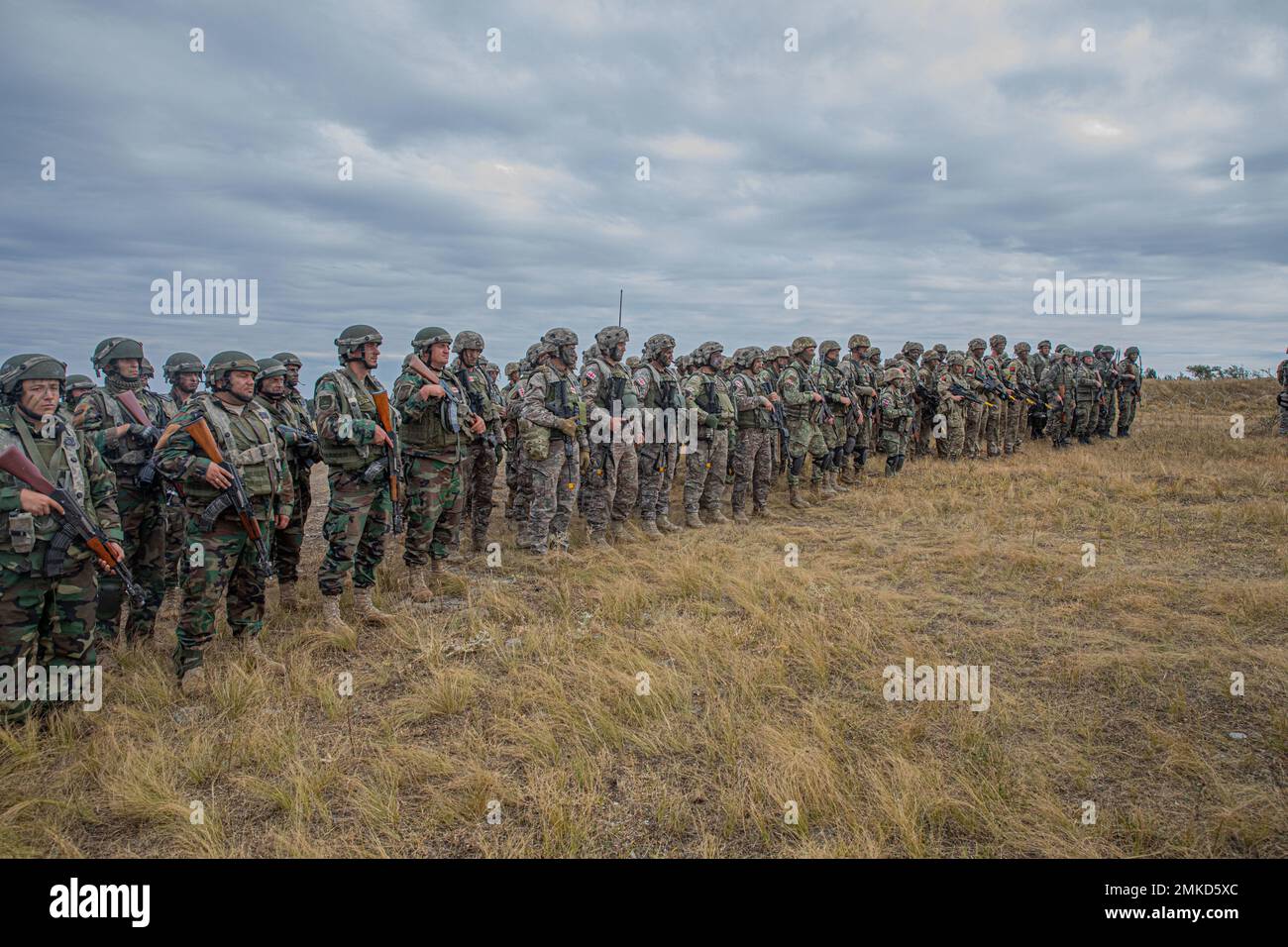 A Multinational Battalion formation after a situational training ...