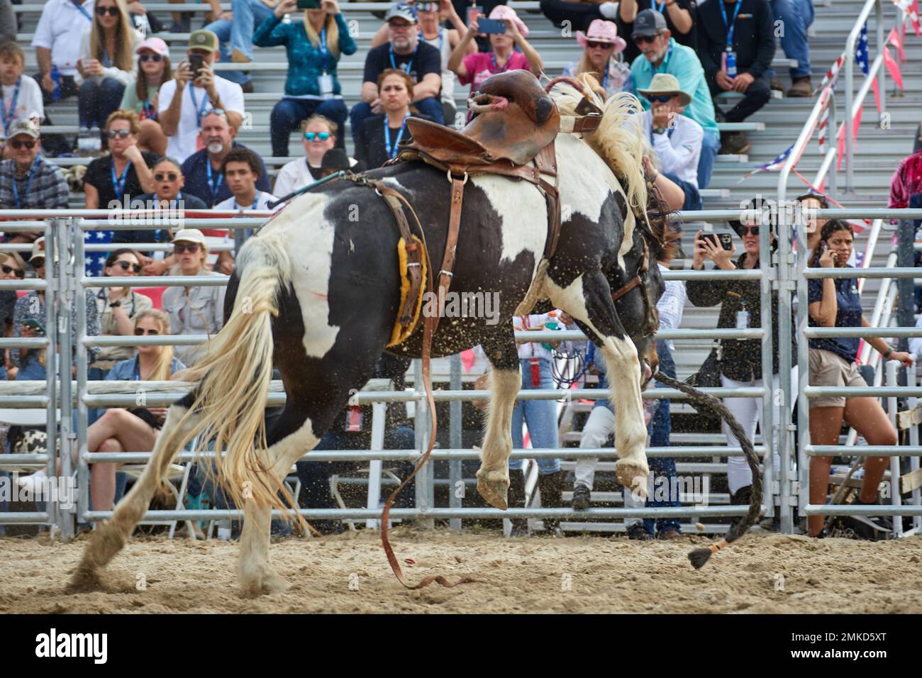 Homestead, FL, USA. 28th January 2023. 74th Annual Homestead ...