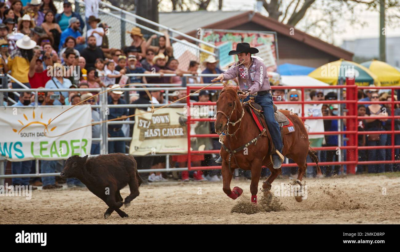 Homestead everglades posse specialty act hi-res stock photography and ...