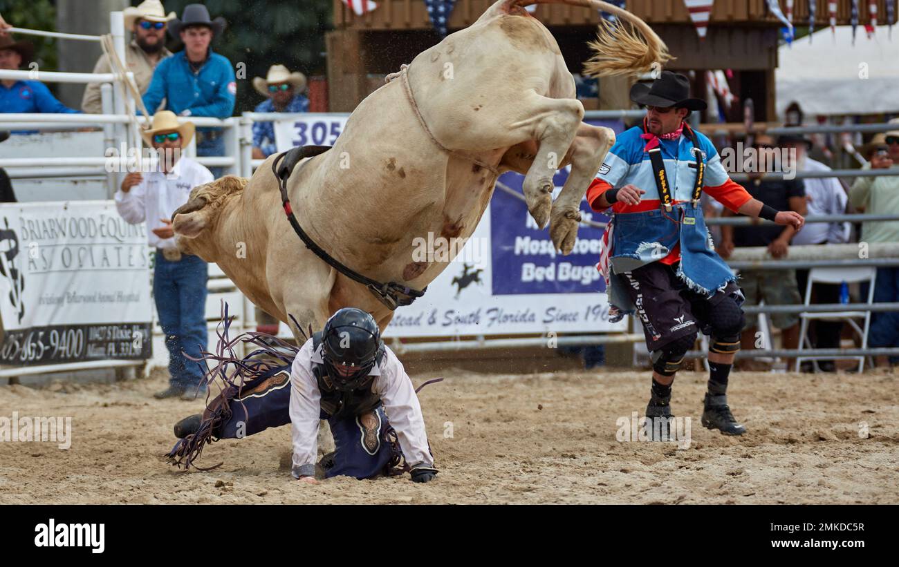 Dodge ram rodeo hi-res stock photography and images - Alamy