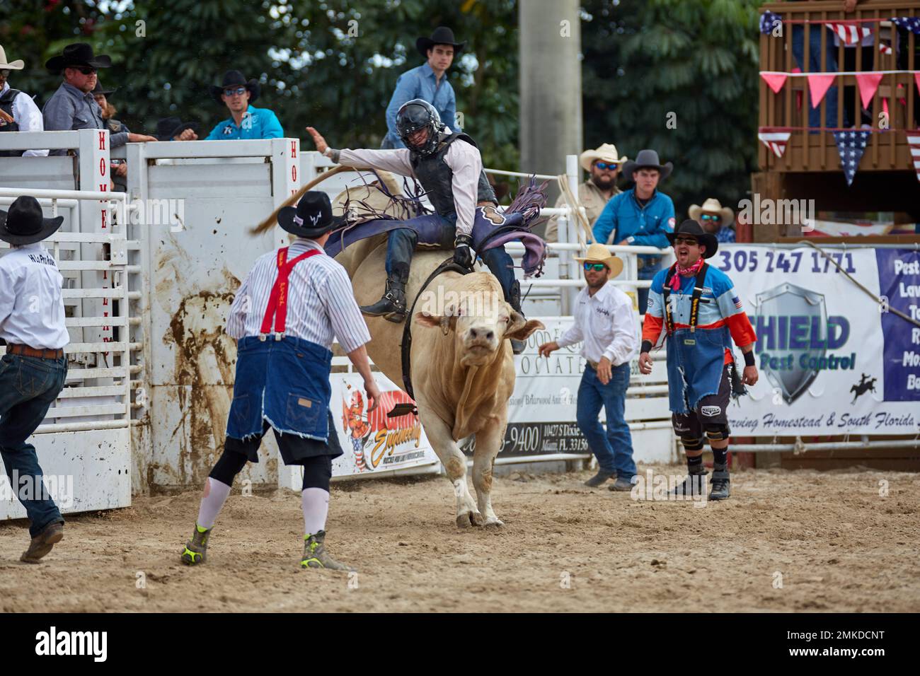 Homestead florida championship rodeo cowboy hi-res stock photography ...