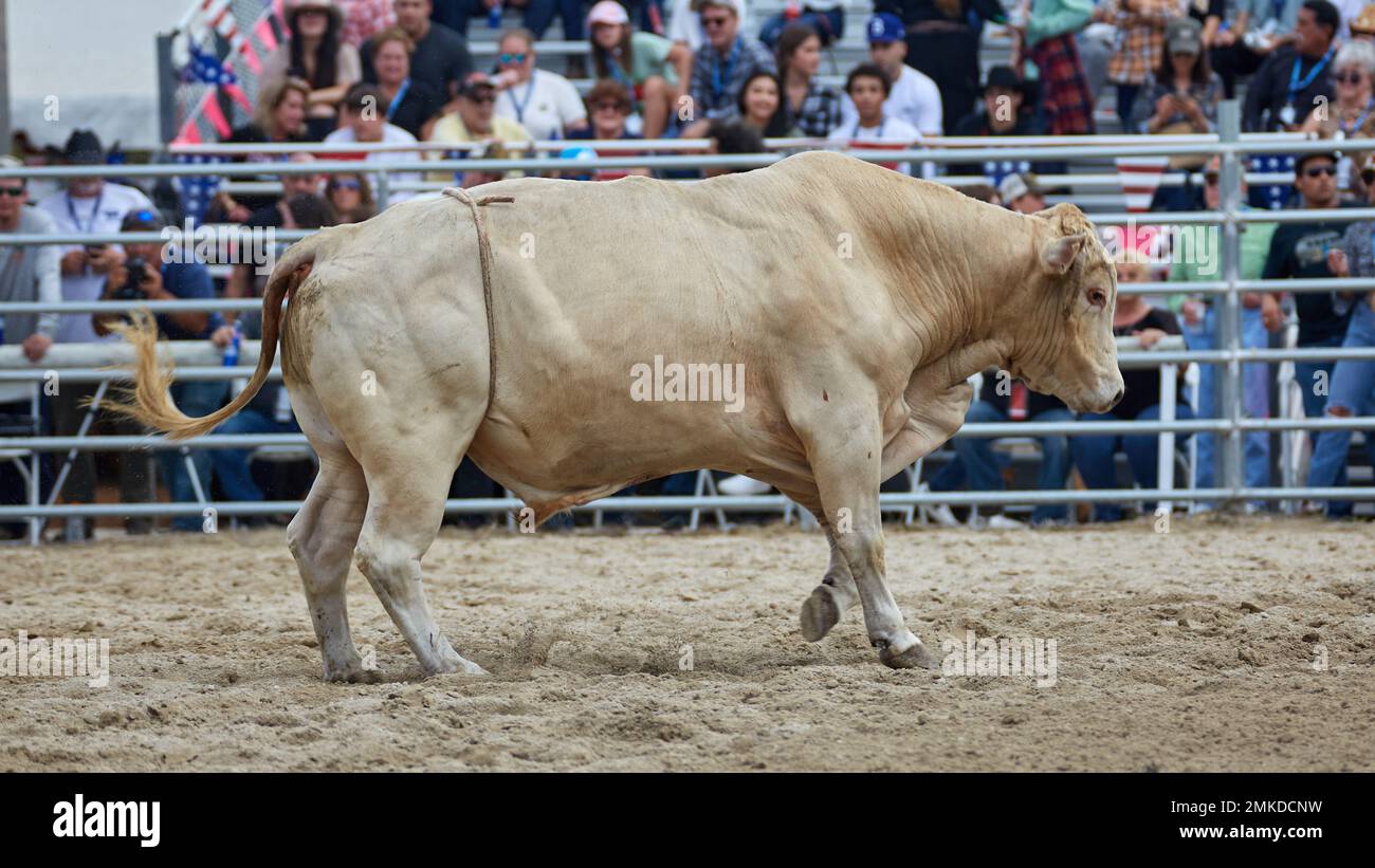 Dodge ram rodeo hi-res stock photography and images - Alamy