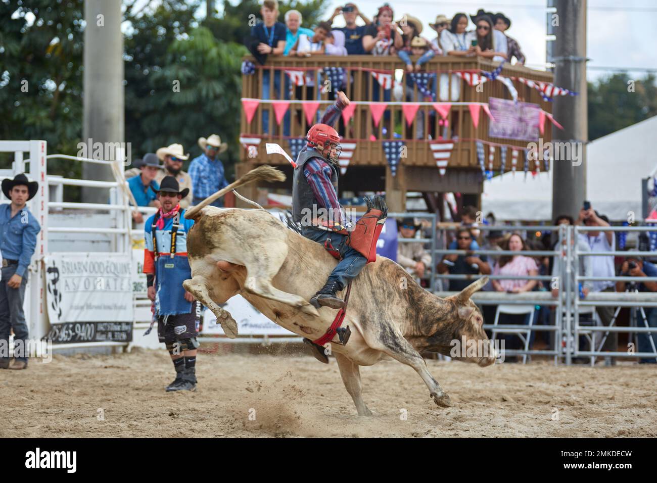 Homestead everglades posse specialty act hi-res stock photography and ...