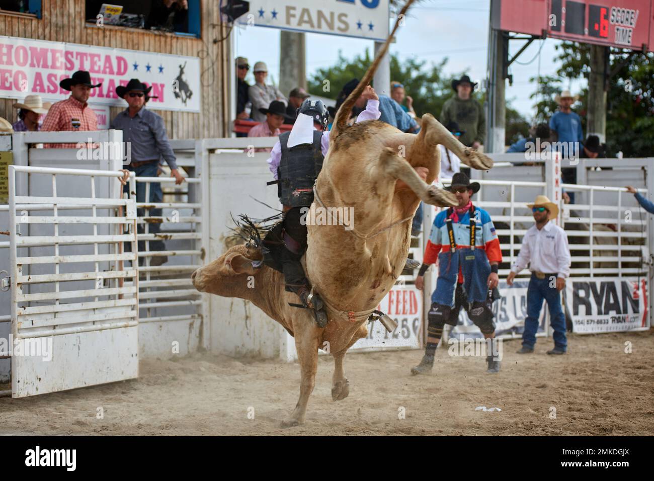 Homestead, FL, USA. 28th January 2023. 74th Annual Homestead Championship Rodeo, presented by ...