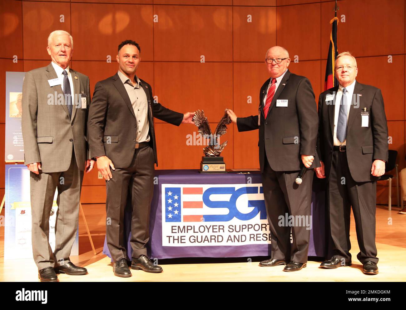 Check defense hi-res stock photography and images - Alamy