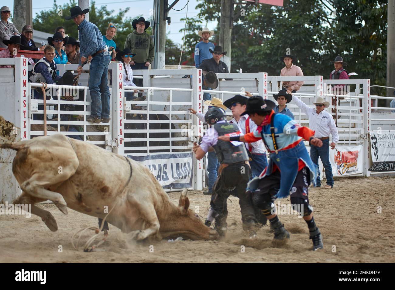 Homestead, FL, USA. 28th January 2023. 74th Annual Homestead ...