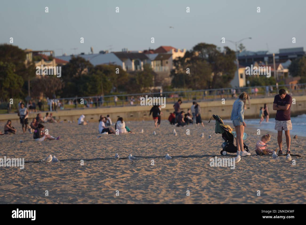 A large number people celebrating Australia Day in Melbourne at ...