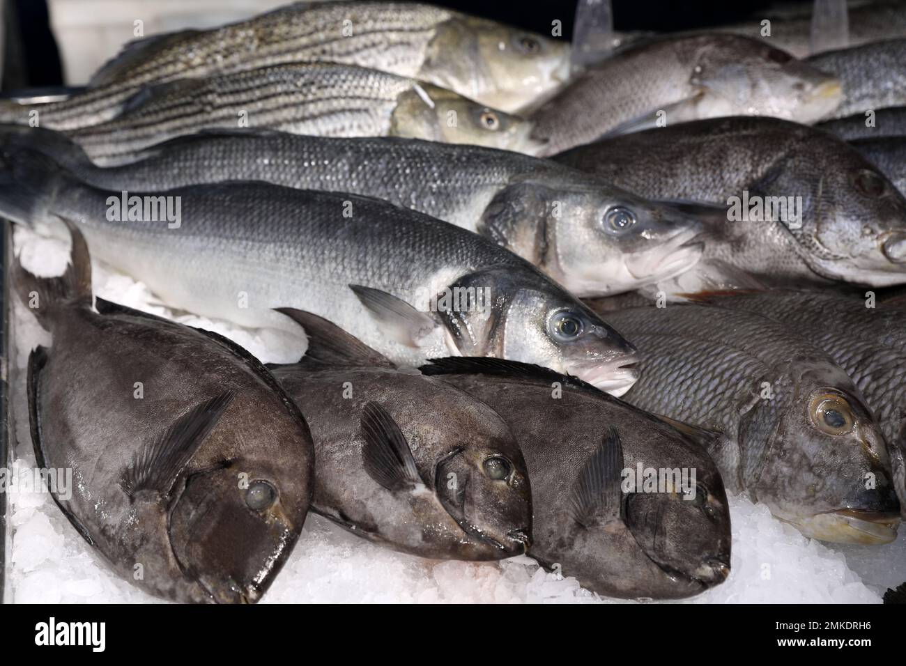 Different types of fresh fish on ice in supermarket Stock Photo - Alamy