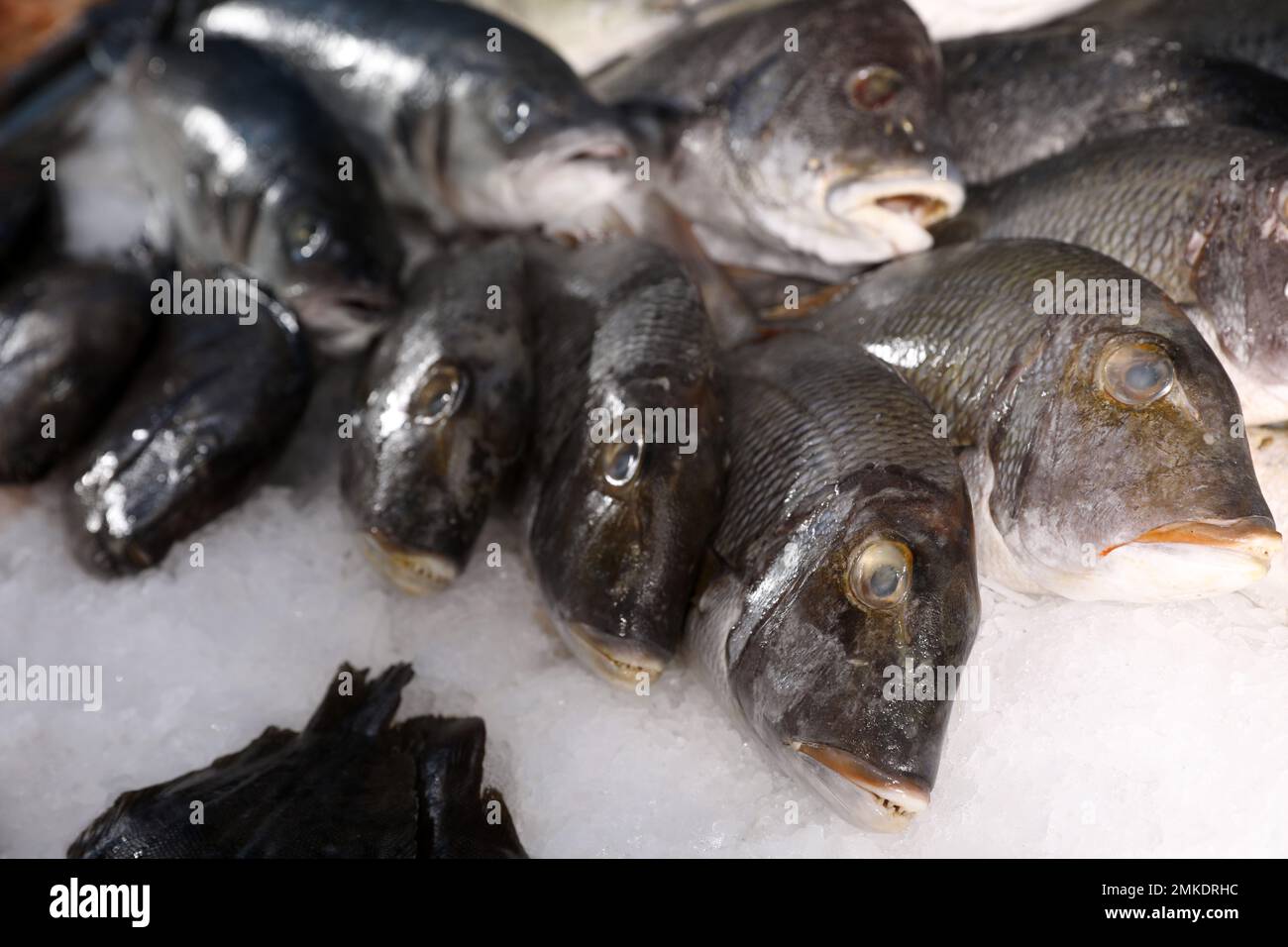 Different types of fresh fish on ice in supermarket, closeup Stock ...