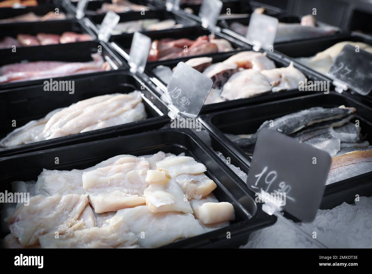 Different types of fresh fish on display with ice. Wholesale market ...