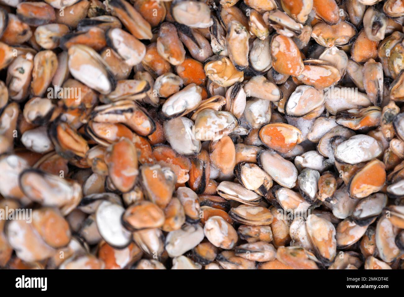 Fresh raw mussels as background, top view. Wholesale market Stock Photo ...