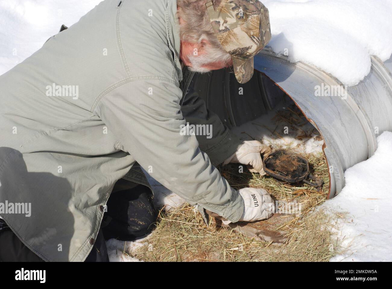 In this Wednesday, Feb. 20, 2019 photo licensed trapper Tom Fisher of ...